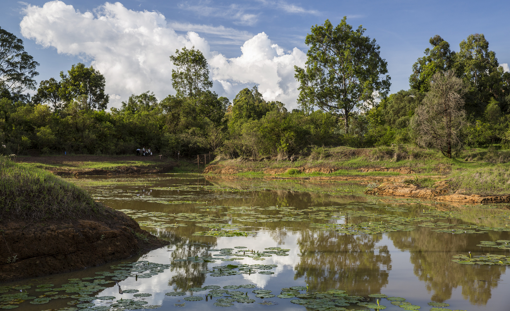 Meet the Fastest River in Africa: Kenya's Gura River - International ...