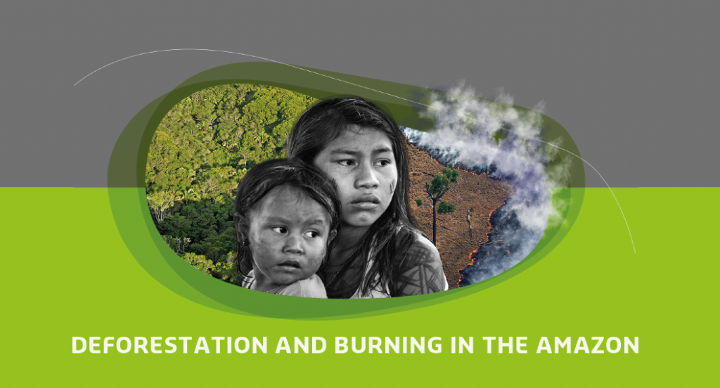 Understanding the Crisis of Deforestation and Burning in the Amazon ...