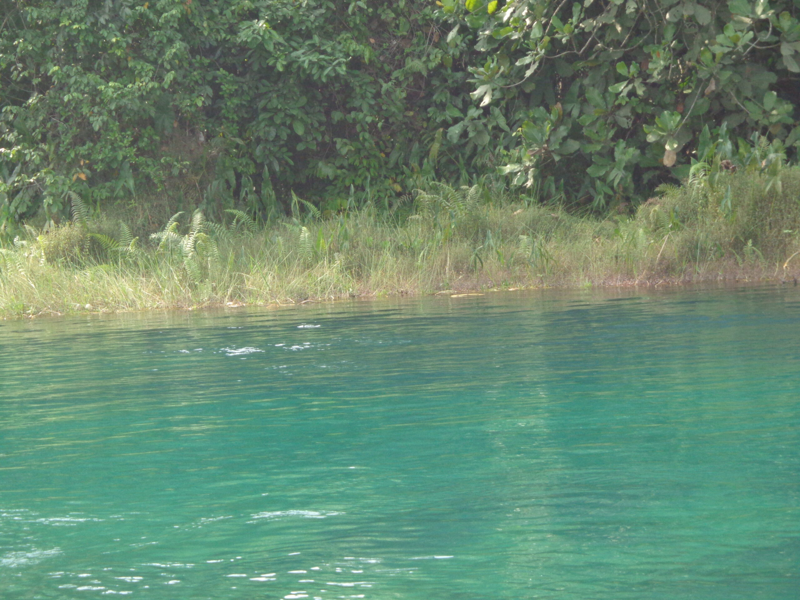 Irikkefe V. Dafe: River Ethiope - International Rivers Resource Hub