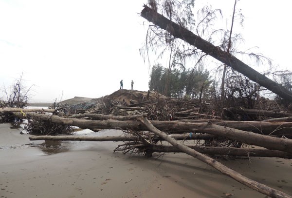 Mekong Delta Loses Half of Silt to Upstream Dams: Scientists | Thanh ...