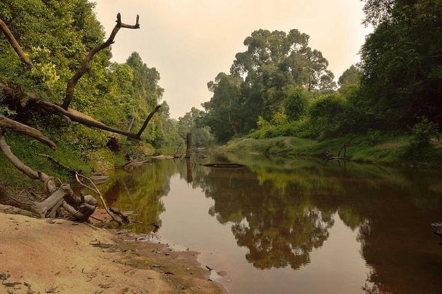Reflections from the Areng Valley - International Rivers Resource Hub