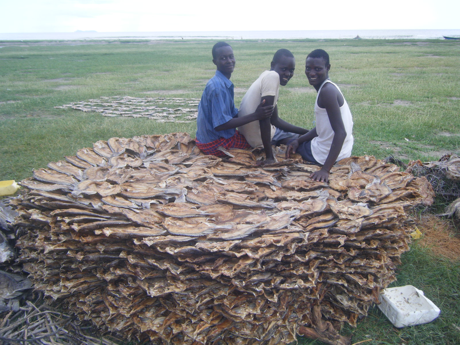 Omo River, Lake Turkana at Risk from Dams and Plantations ...